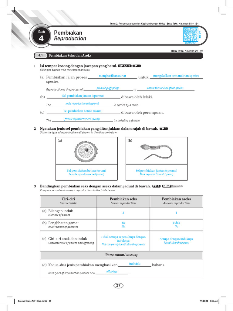 Conquer Sains TKT 1-Bab 4 | PDF