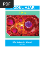 Modul Pembelajaran Discovery Learning | PDF | Karier & Perkembangan | Kesehatan Holistik