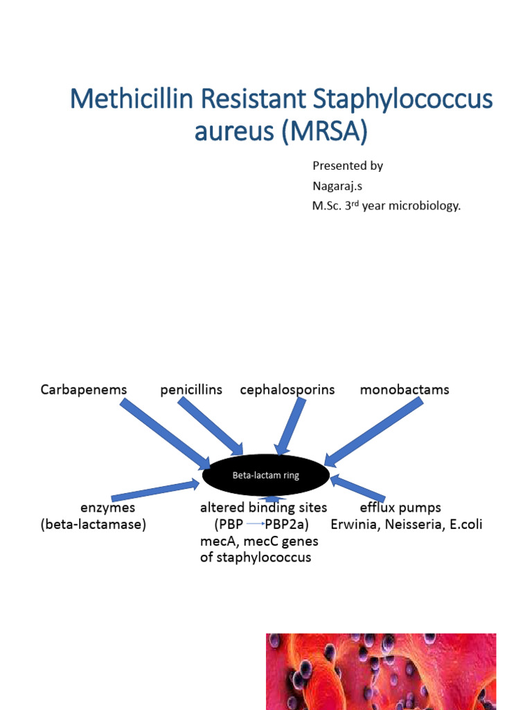 Mrsa 180507092652 | PDF | Methicillin Resistant Staphylococcus Aureus | Staphylococcus Aureus