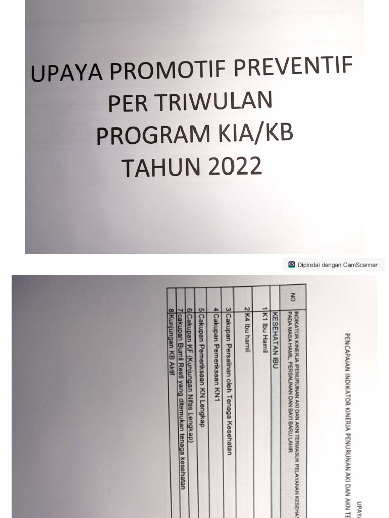 Upaya Promotif Preventif Per Triwulan Program KIA 2022 | PDF