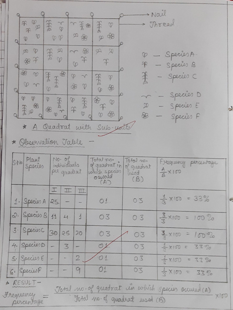 Experiment 3 Pdf