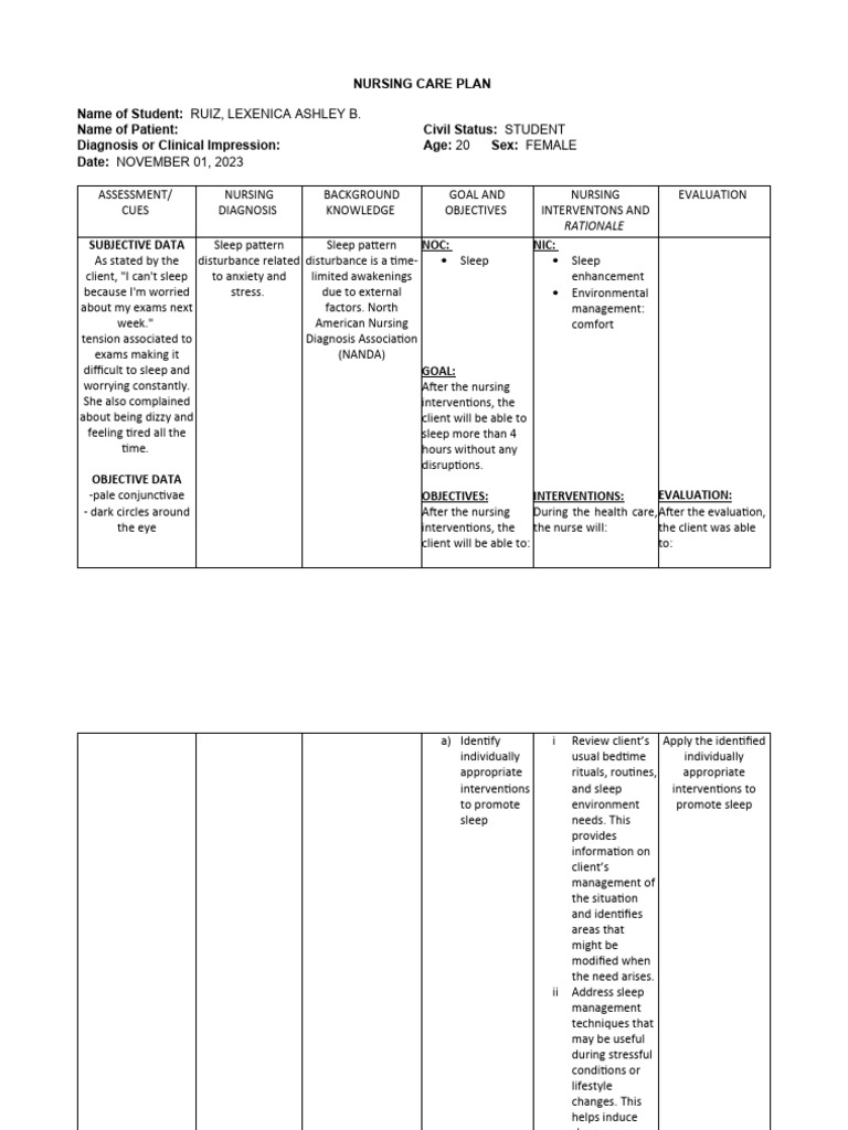 Nursing Care Plan PDF Nursing Sleep