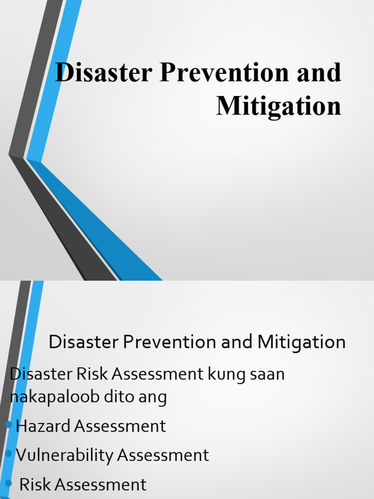 Disaster Prevention and Mitigation | PDF