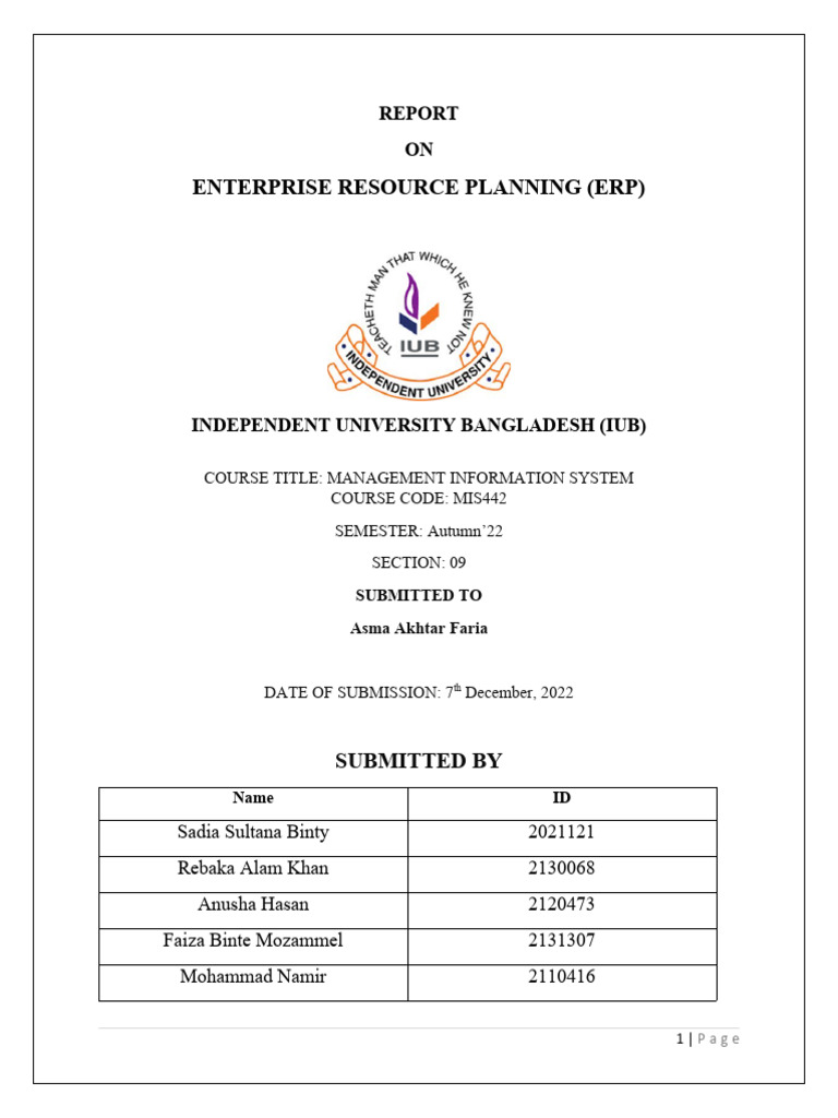 Mis Report | PDF | Enterprise Resource Planning | Business Process