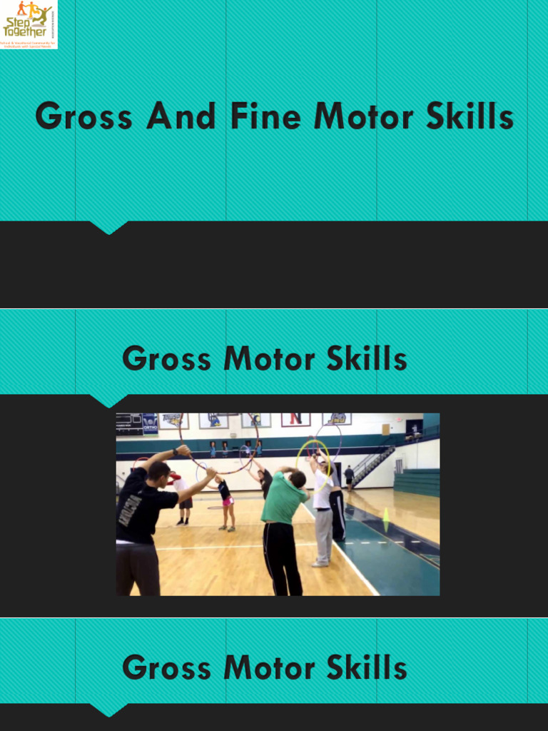 Gross and Fine Motor Skills - Intro | PDF
