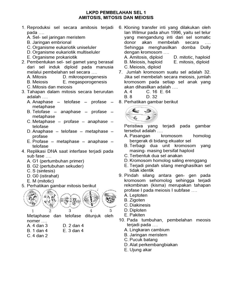 LKPD Reproduksi Sel 1 | PDF