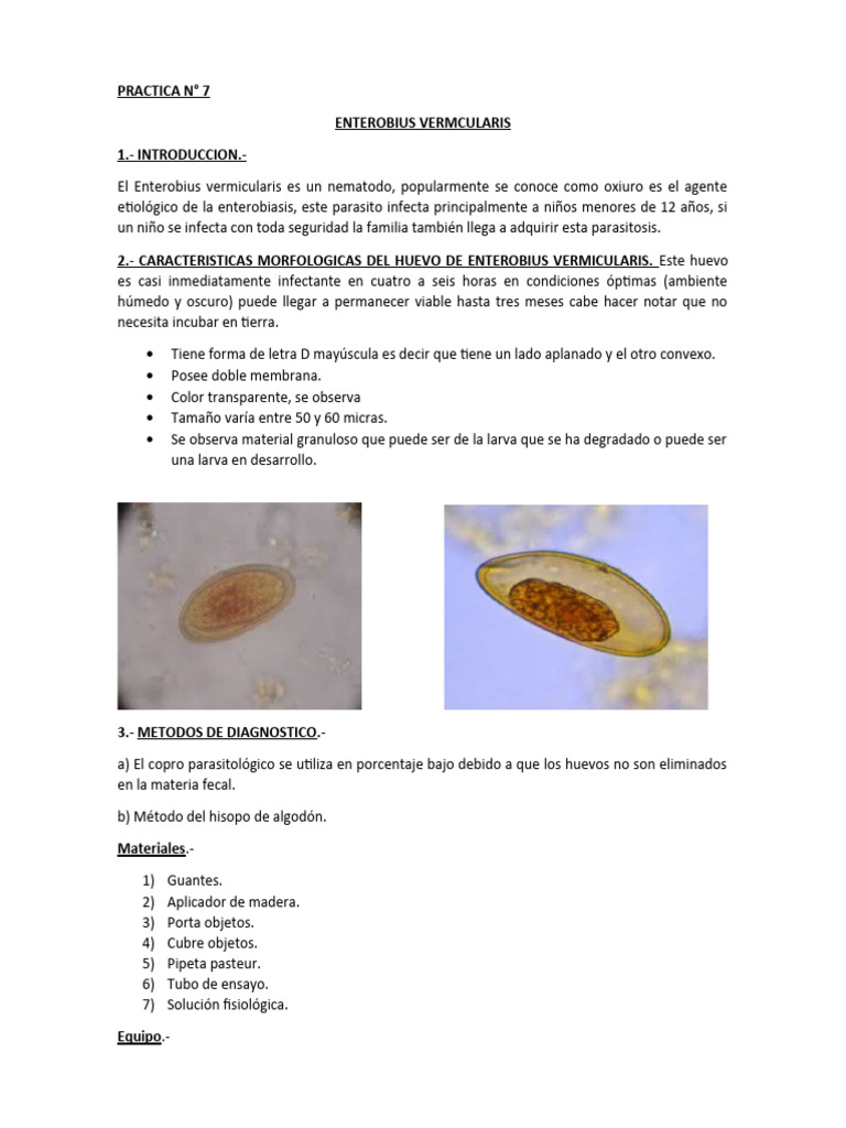 Enterobius Vermicularis | PDF