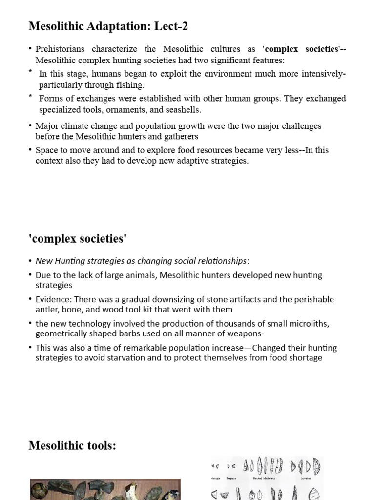 Mesolithic Lect 2 | PDF | Foods | Hunter Gatherer