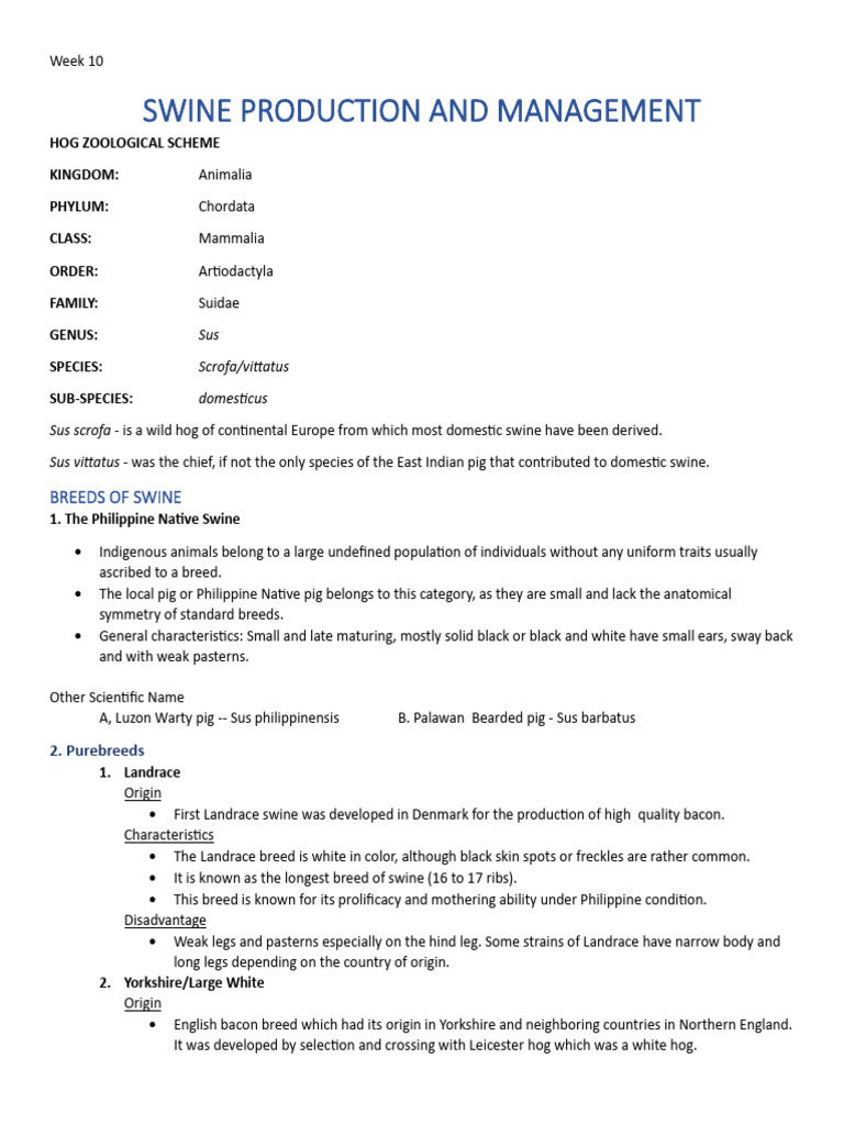 Animal Science Swine Production | PDF | Pig | Horse Breeding
