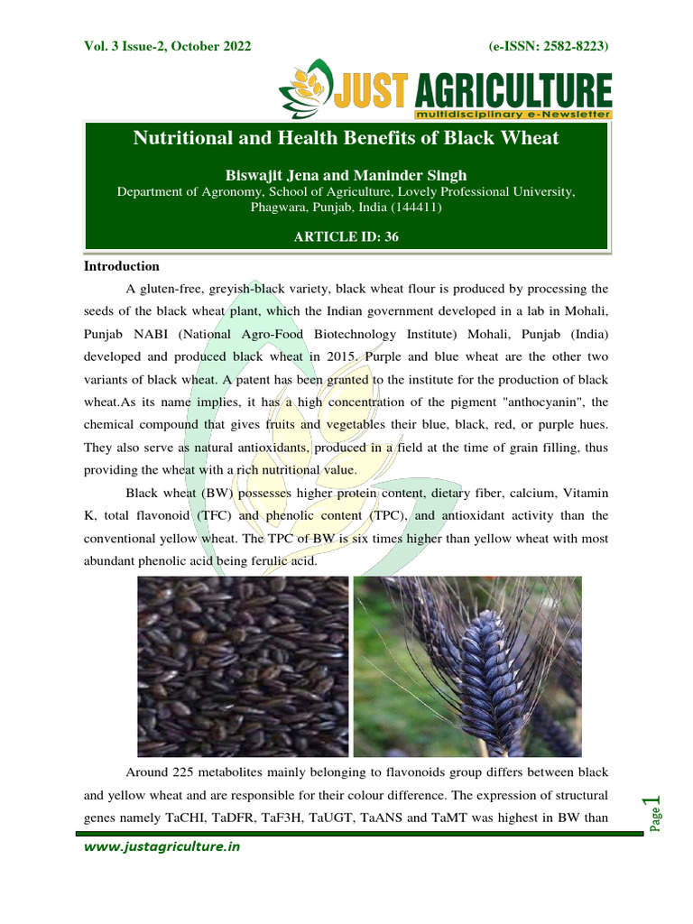 Nutritional and Health Benefits of Black Wheat | PDF | Wheat | Cardiovascular Diseases