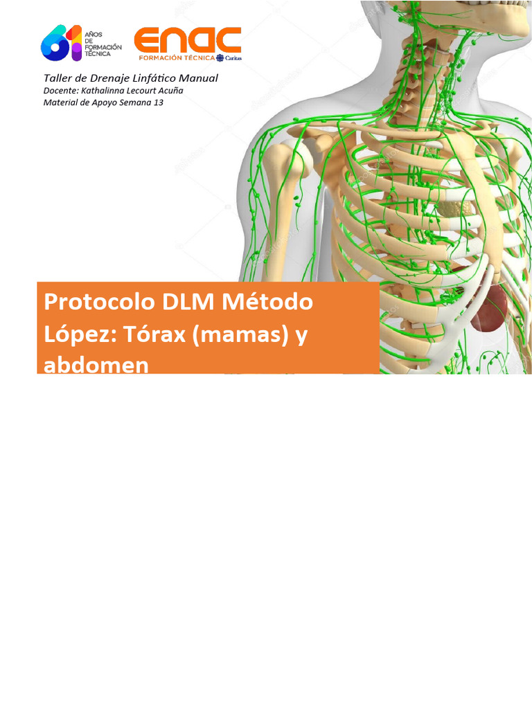 Material de Apoyo 5. Protocolo DLM Tórax y Abdomen | Descargar gratis PDF | Pecho | Tórax