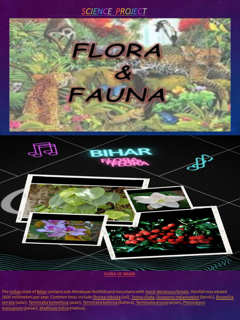 Science Project | PDF | Organisms | Ecology