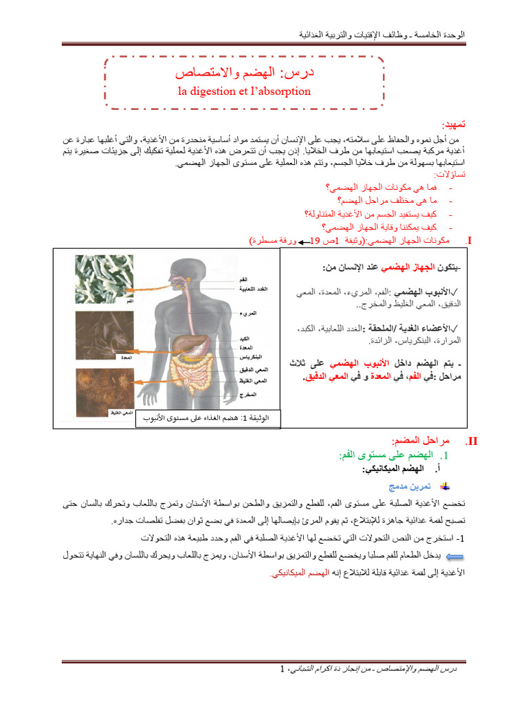 Devoir SVT n1 Semetre 1 | PDF