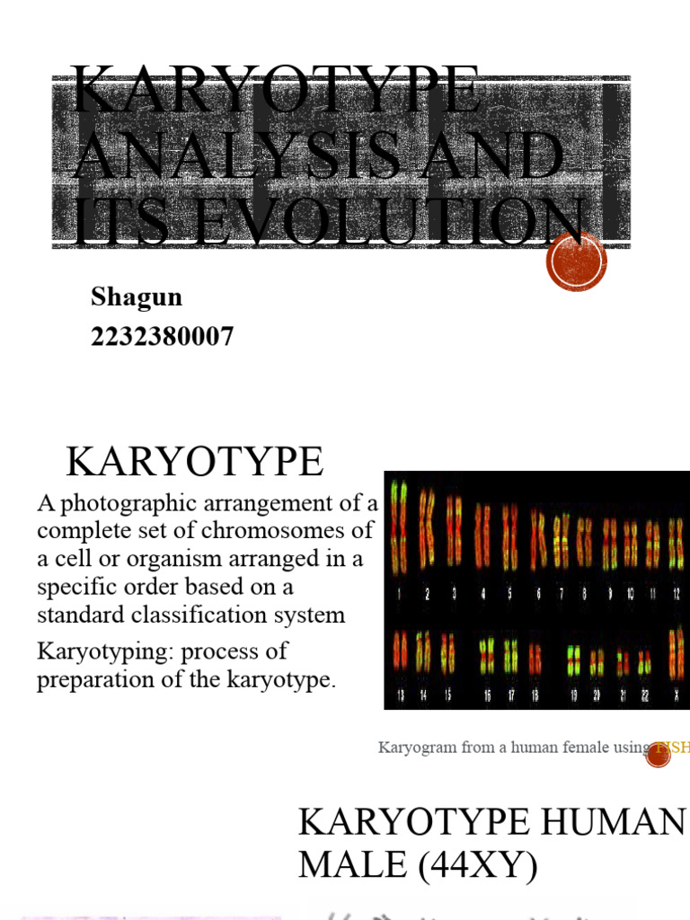 Karyotype and Its Evolution | Download Free PDF | Karyotype | Chromosome