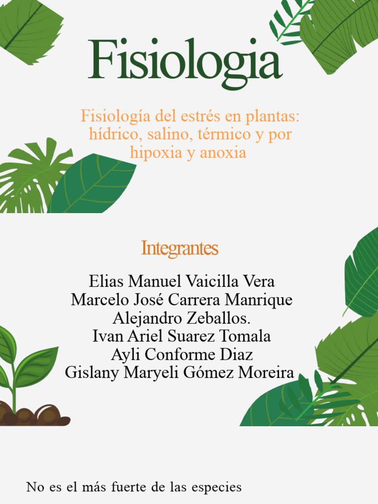 Fisiología Del Estrés en Plantas Hídrico, Salino, Térmico y Por Hipoxia y Anoxia | Descargar ...