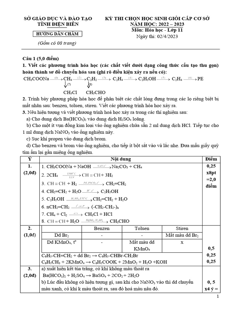 HSG 11 Điện Biên 2022 - 2023 | PDF