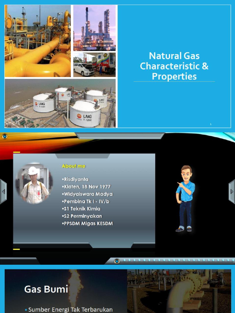 Natural Gas Properties | PDF