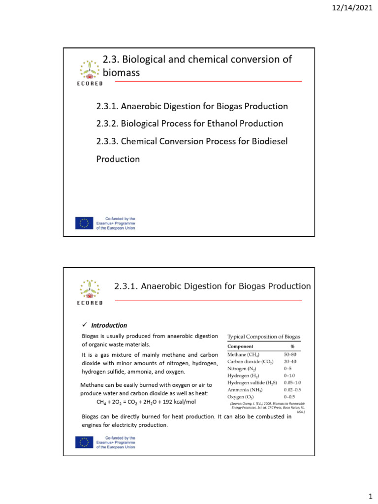 Chapter 2 - 2.3 - Biological and Chemical Conversion of Biomass | PDF ...