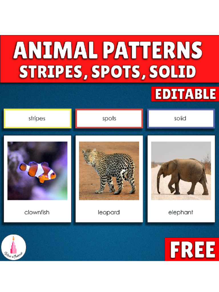 Animal Patterns Sorting - Spots, Stripes, Solid Editable | PDF ...