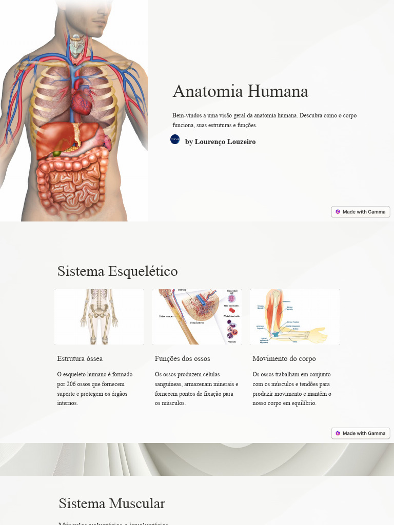 Anatomia Humana Pdf Corpo Humano Músculo Esquelético