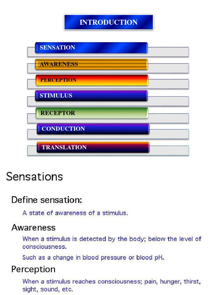 Sense Organs | PDF | Ear | Retina