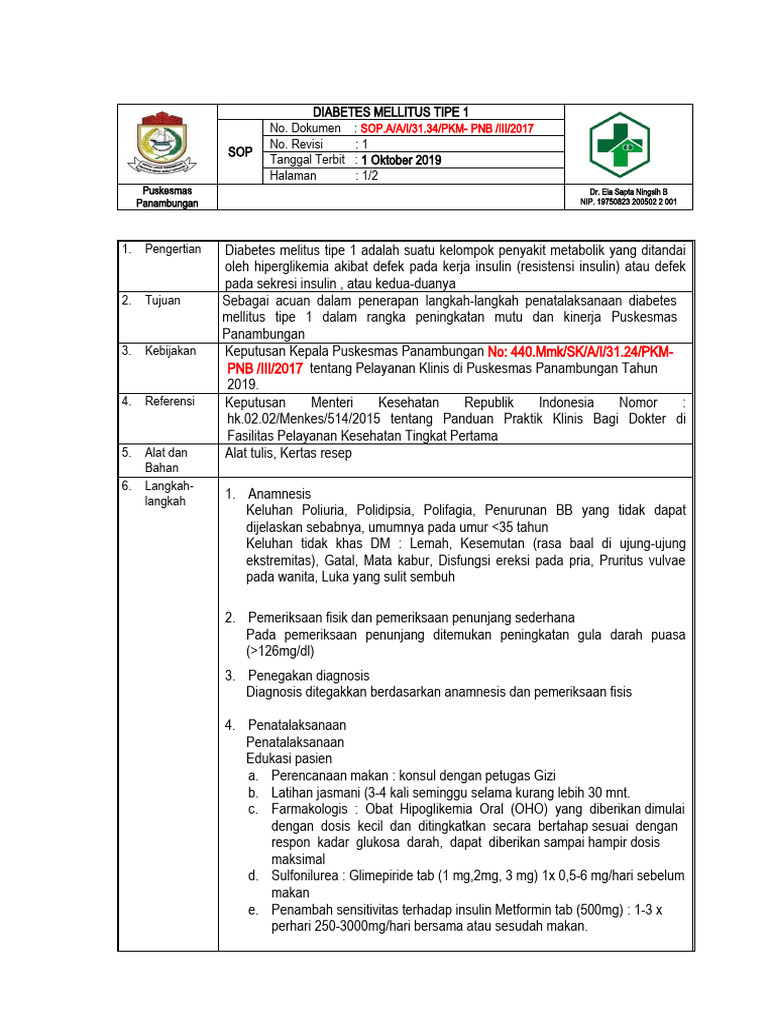 Panduan Penatalaksanaan Diabetes Tipe 1 | PDF | Pengembangan Diri ...