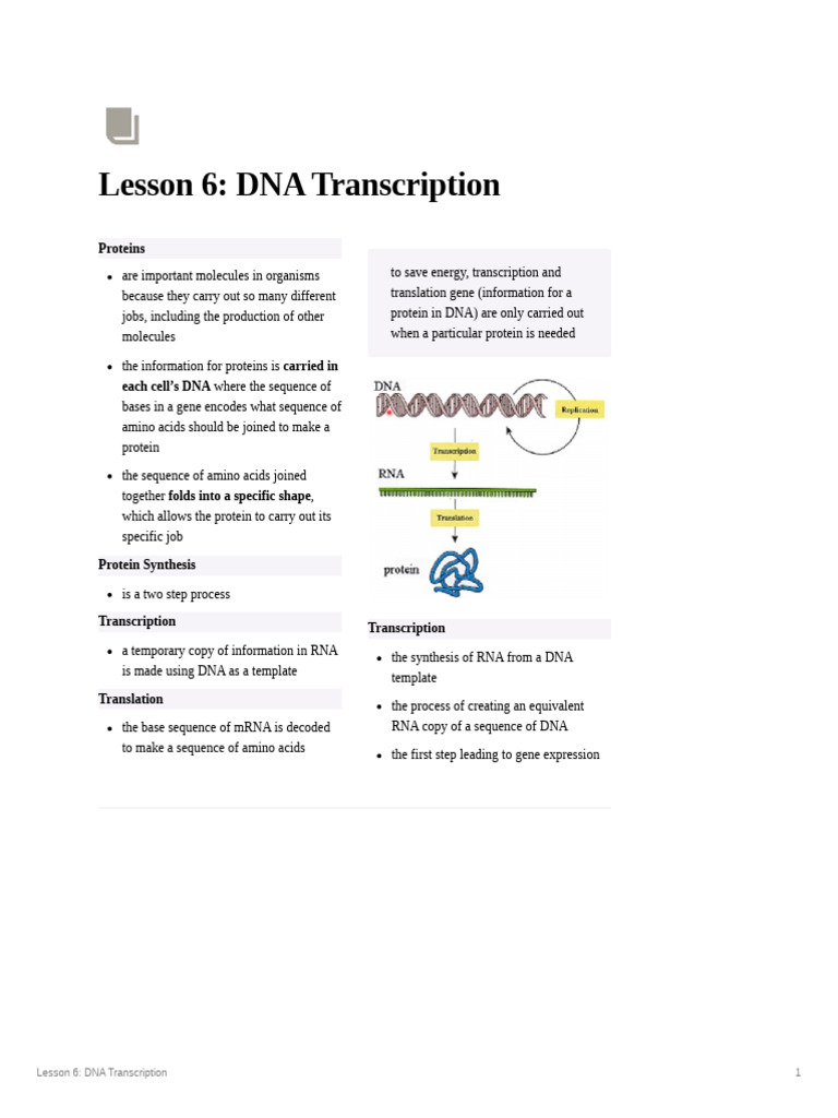CYTO DNA Transcription | PDF | Rna | Dna