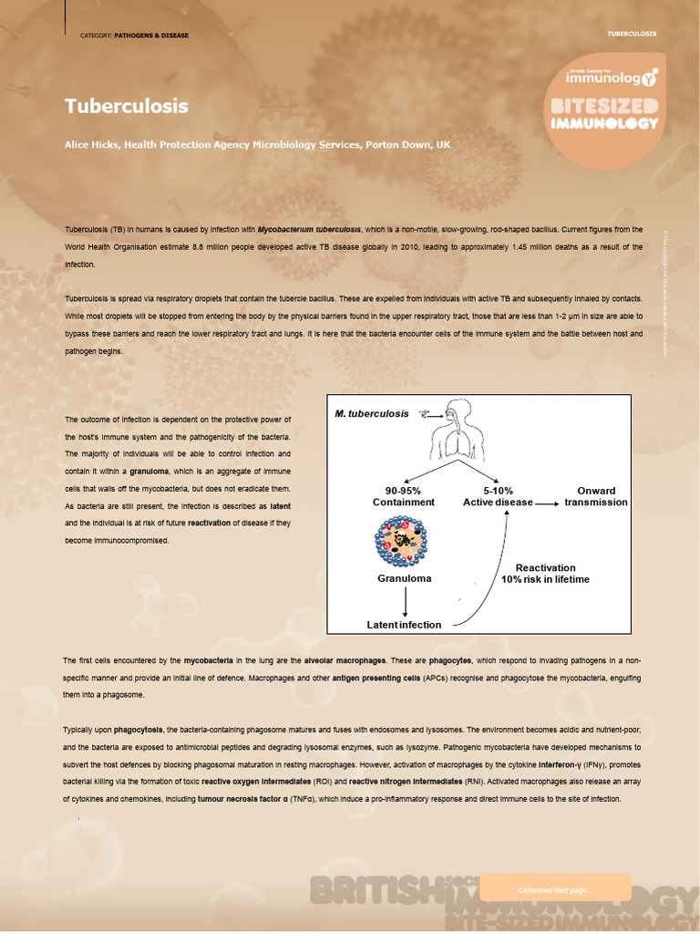 Tuberculosis | PDF | Macrophage | Tuberculosis