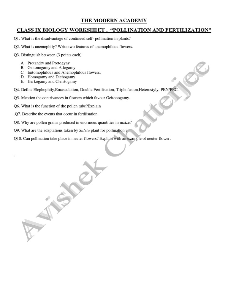Pollination and Fertilization Worksheet | PDF