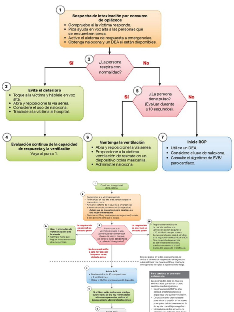 Algoritmos RCP | PDF