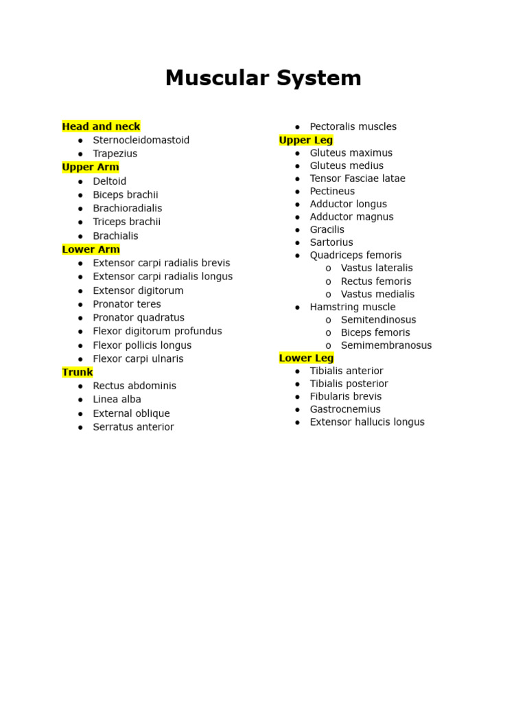 Muscular System Study Guide | PDF