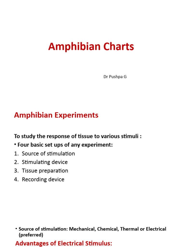 Amphibian Charts | PDF | Muscle Contraction | Stimulus (Physiology)