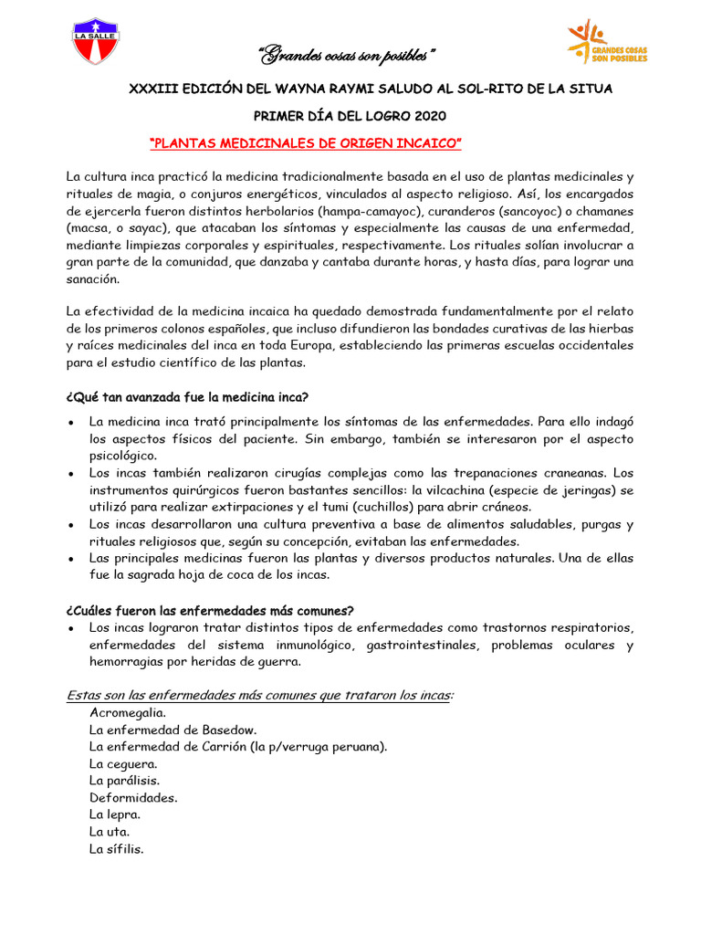 Plantas Medicinales | PDF | Imperio Inca | Medicina