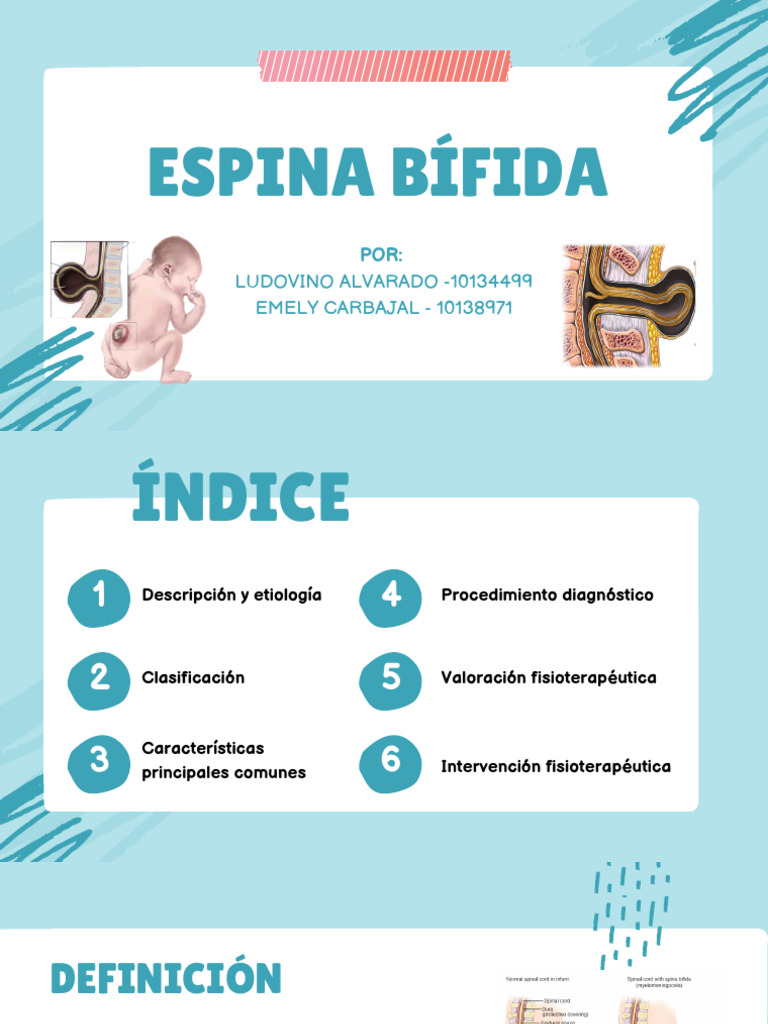 Espina Bífida: Diagnóstico y Fisioterapia | PDF | Especialidades ...