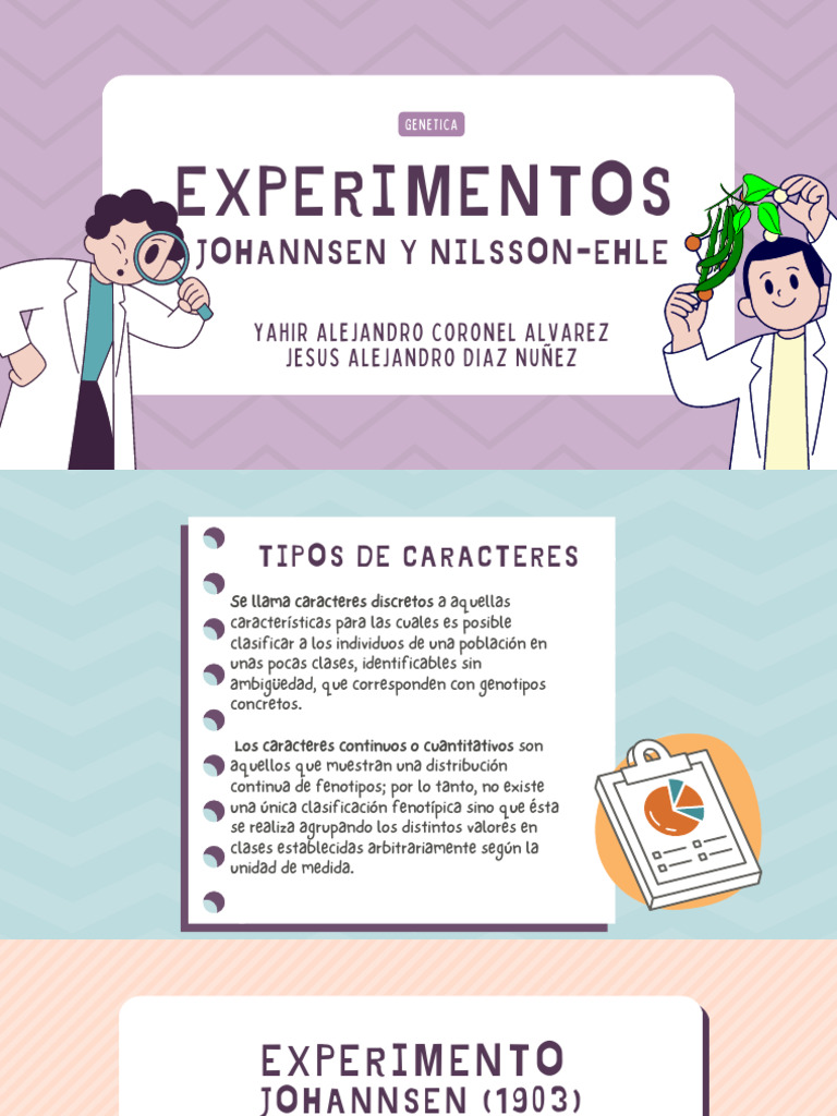 Experimentos Johannsen y Nilsson-Ehle | PDF | Experimentar | Fenotipo