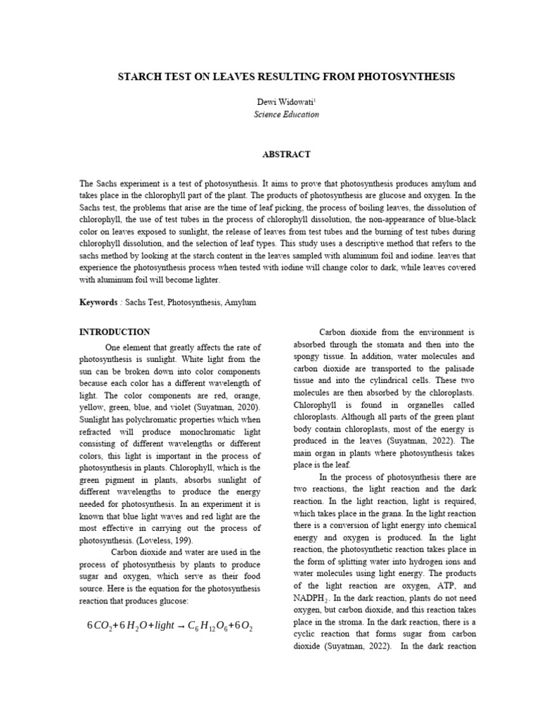 Starch Test On Leaves Resulting From Photosynthesis | PDF ...