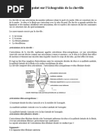 Radiographie de la cheville et du pied | PDF | Pied | Système squelettique