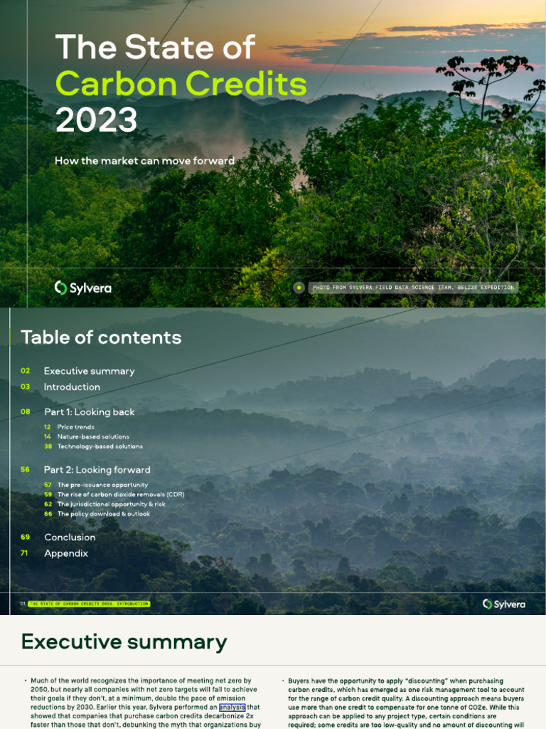 The State of Carbon Credits 2023 | PDF | Reducing Emissions From ...