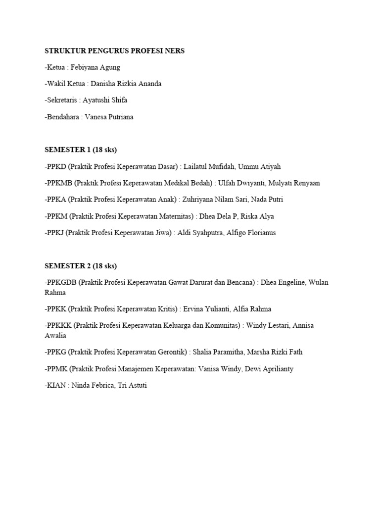 Struktur Pengurus Profesi Ners | PDF