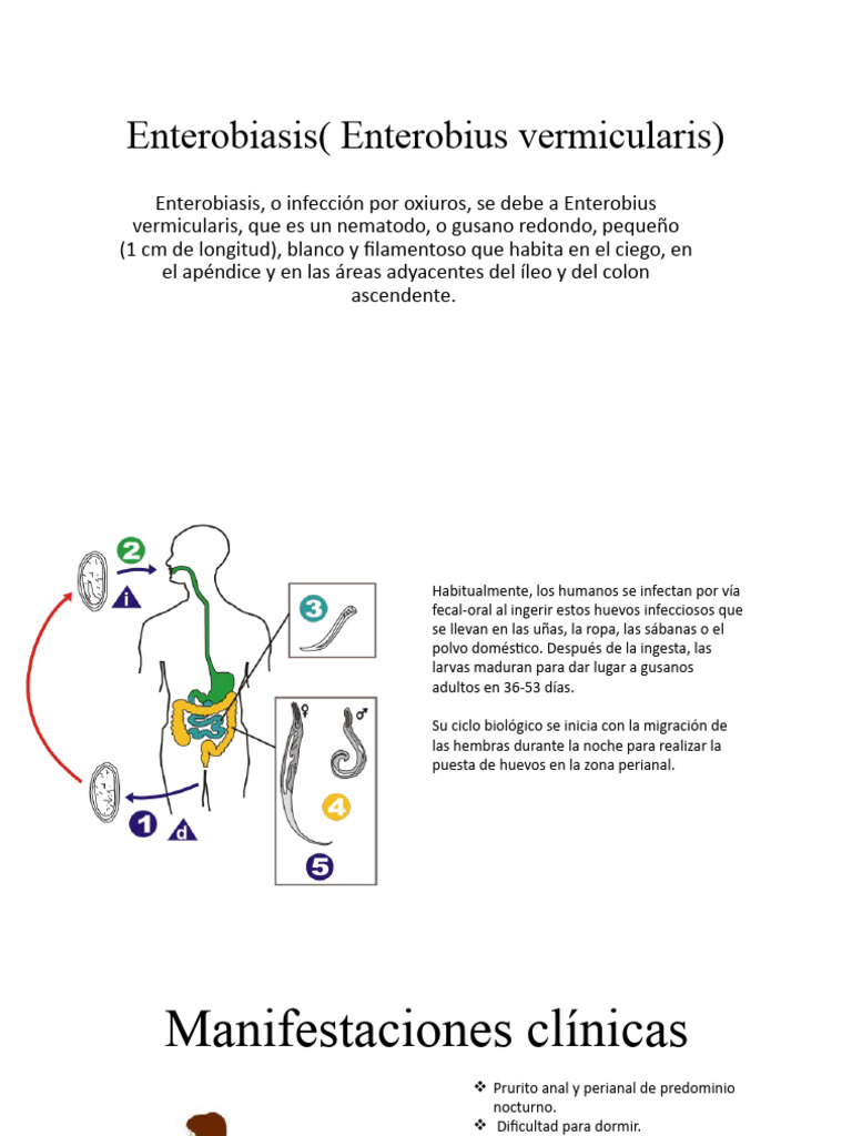 Enterobiasis (Enterobius Vermicularis) | PDF | Causas de la muerte ...