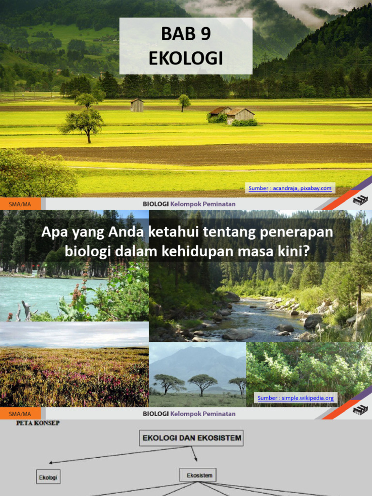 Bab 10 Ekologi-New | PDF