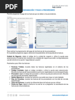 Manual para Uso CG1 | PDF