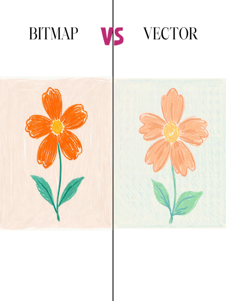 Vector & Bitmap | PDF