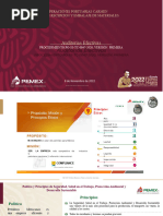 13 Directrices de Cero Tolerencia | PDF | México