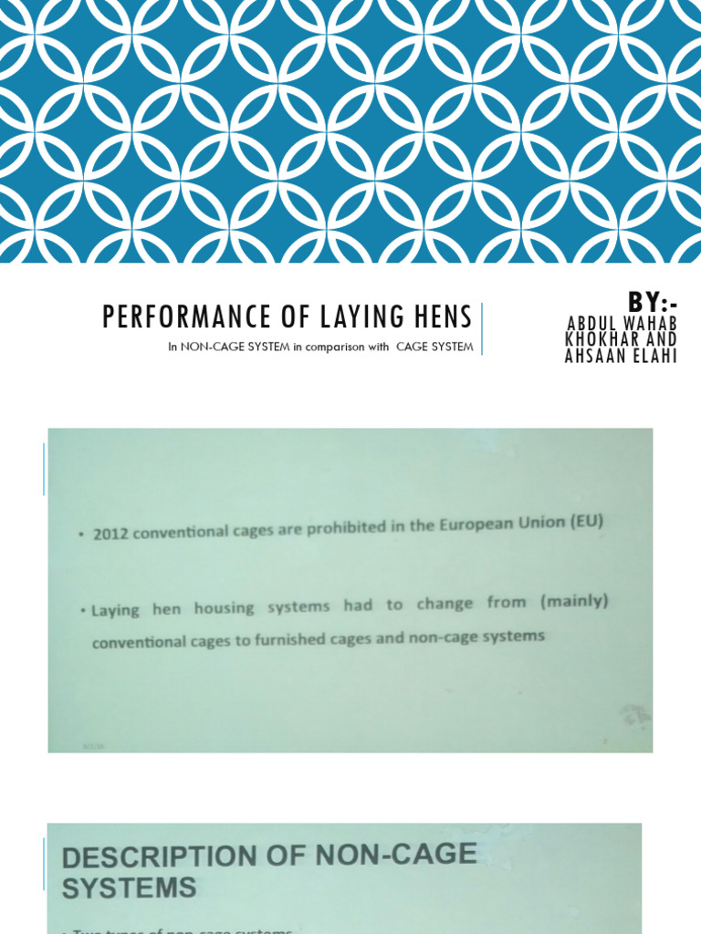 Performance of Laying Hens | PDF