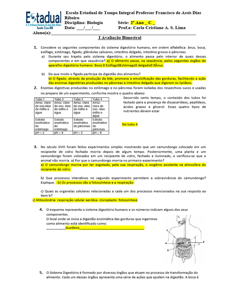 Prova de Biologia 3° Bimestre - 2C (Gab) | PDF | Sistema digestivo humano | Digestão