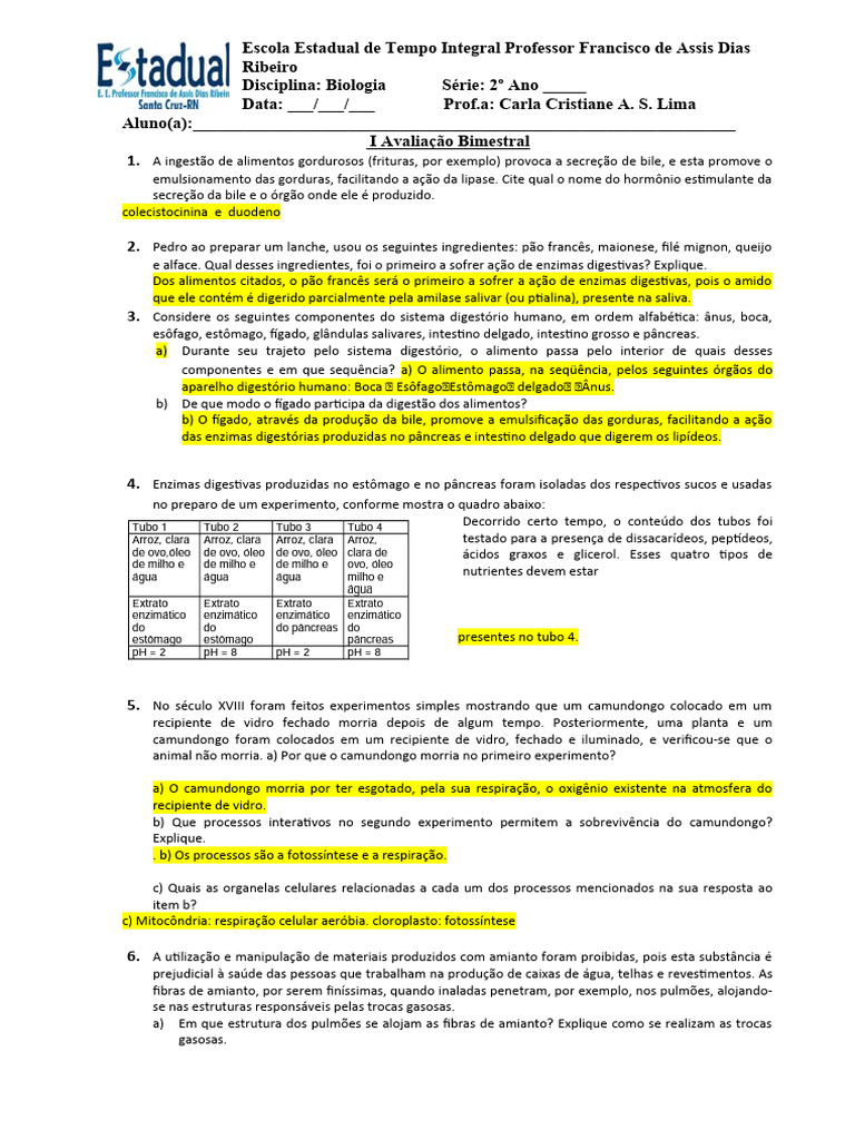 Prova de Biologia 3° Bimestre - 2A e 2B - GAB | PDF | Sistema respiratório | Pulmão