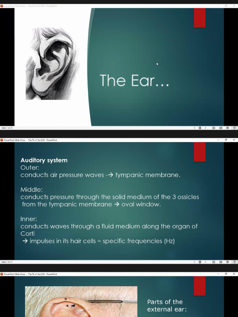 Ear and Neck | PDF