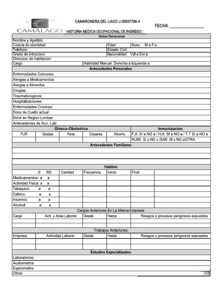 Historia Pre Empleo | PDF