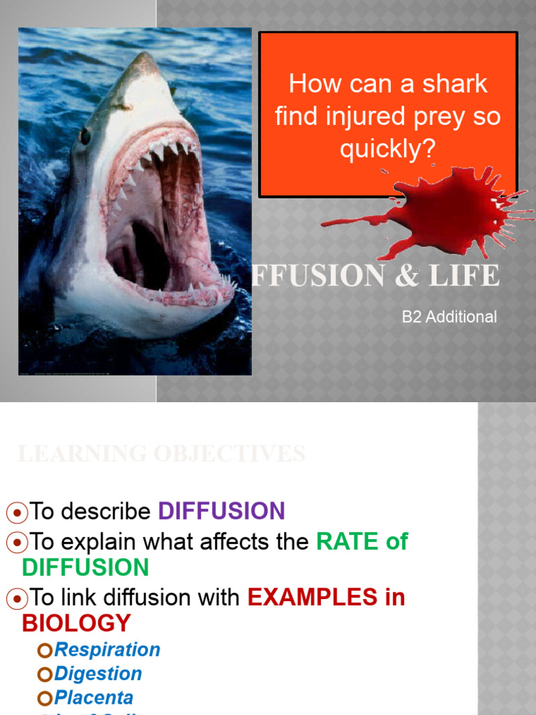Diffusion and Body Systems With Examples | PDF | Respiratory System ...